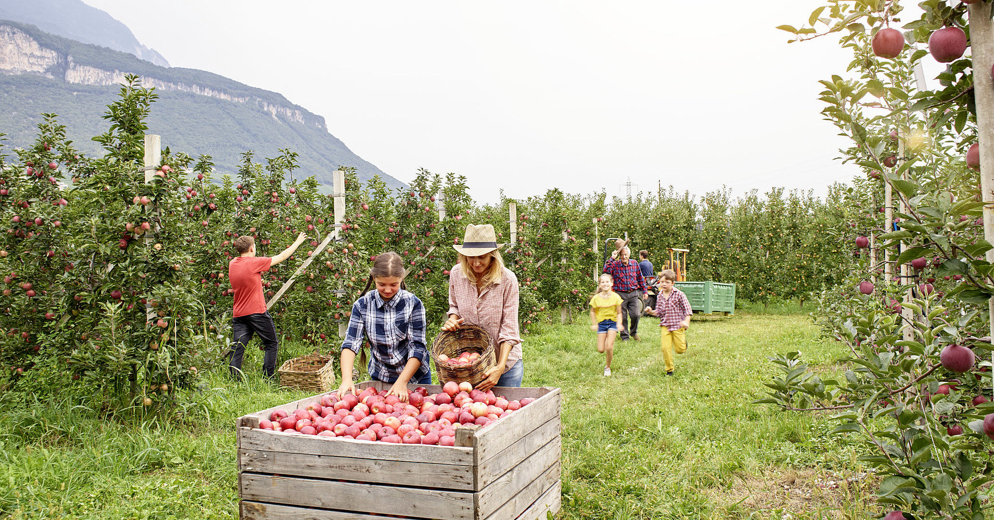 “Staying grounded": VOG Products releases Sustainability Report 2022 ...